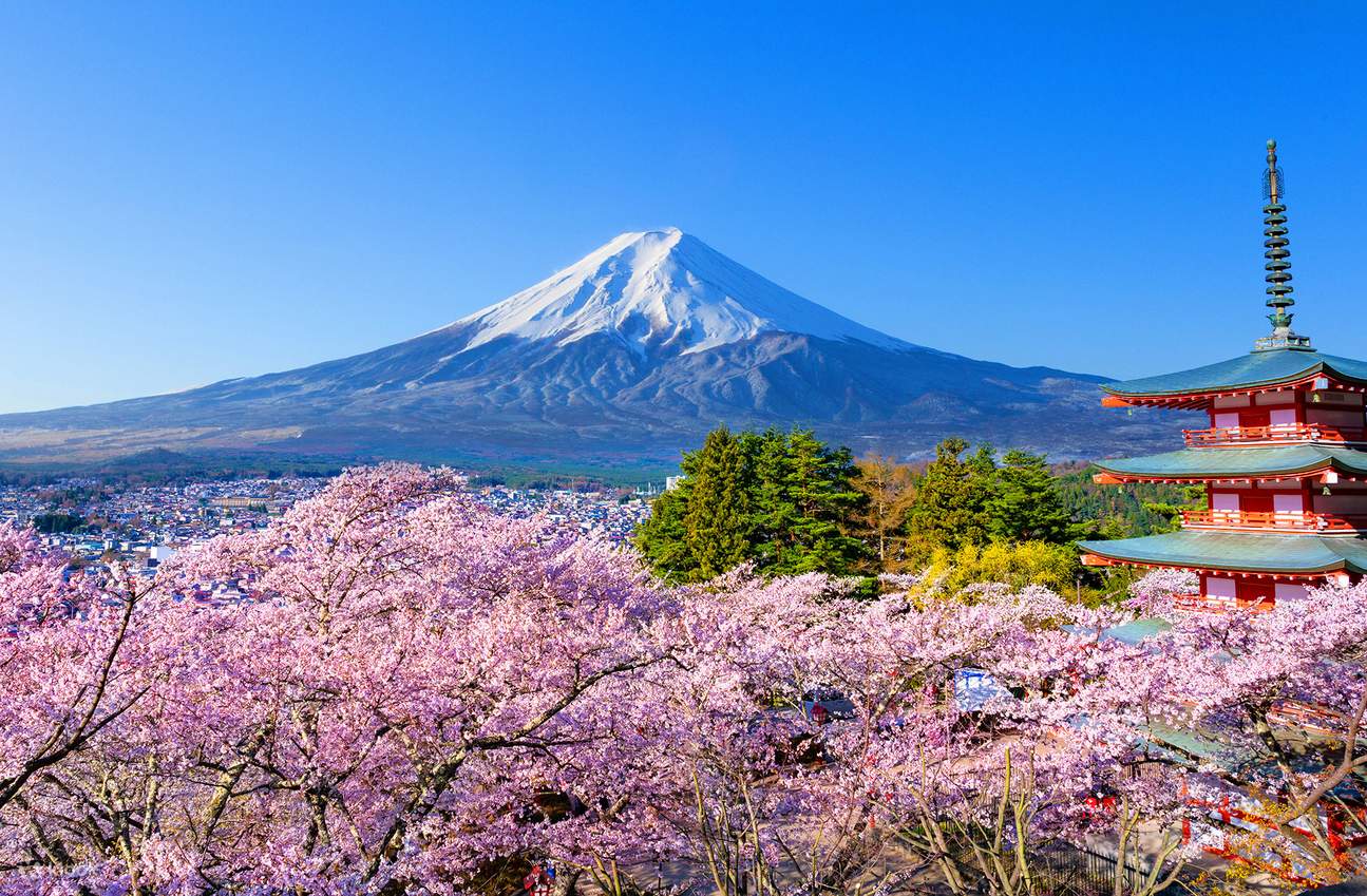 Mount Fuji, Arakurayama Park, Oshino Hakkai, and Lake Kawaguchiko Bus ...
